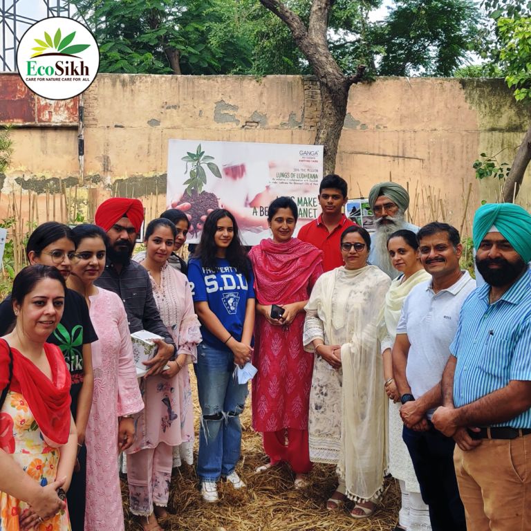 Another Milestone Towards One-Million-Trees by Ludhiana Industry - EcoSikh